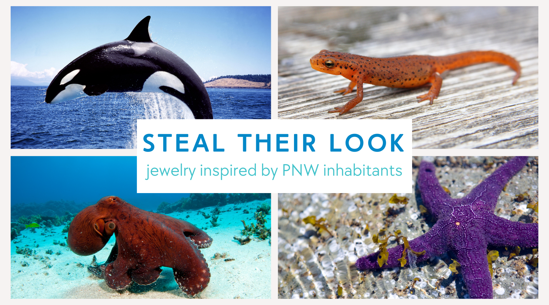 Steal Their Look! Jewelry Inspired by PNW Inhabitants – Anueva Jewelry