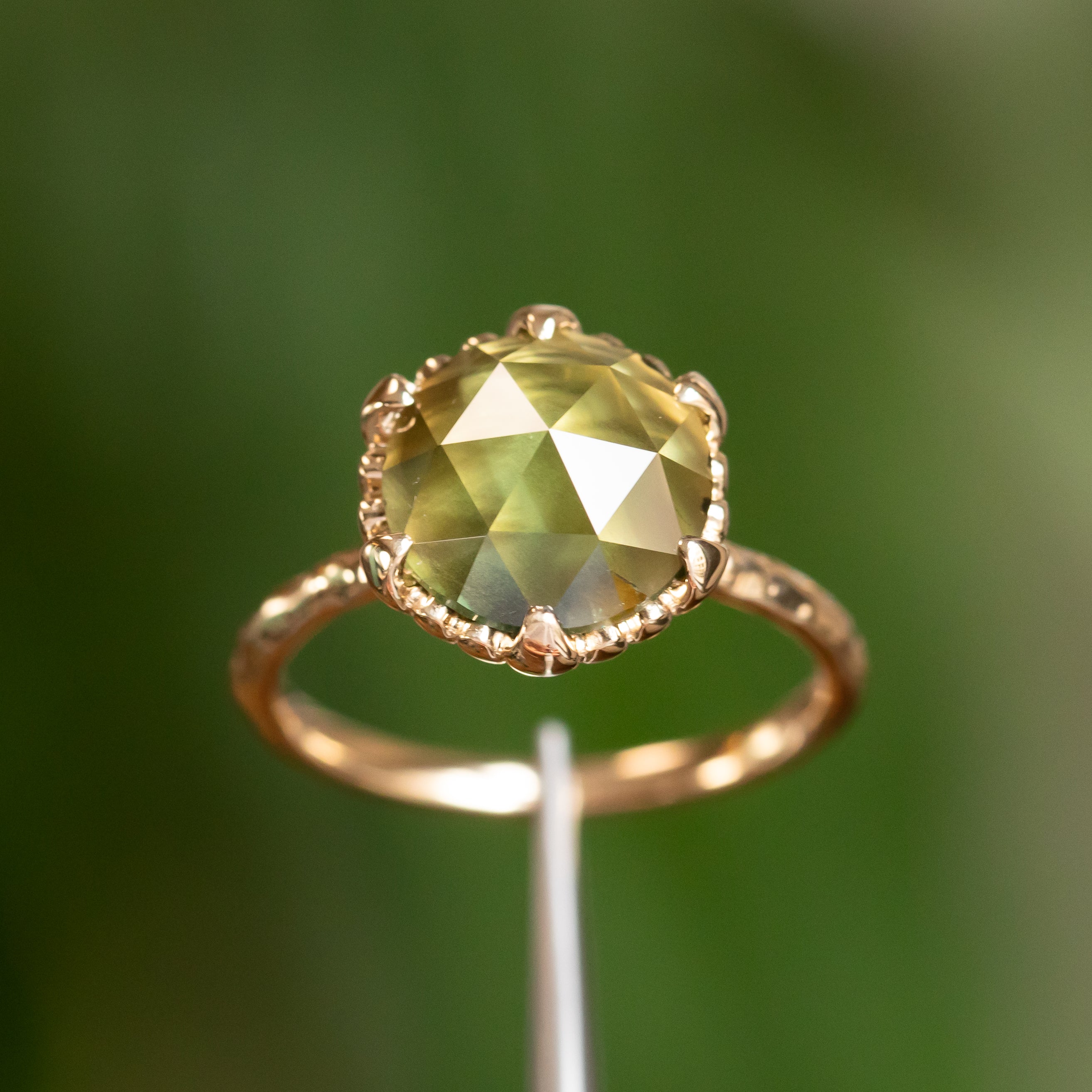 Scallop Cup Solitaire - Setting – Anueva Jewelry