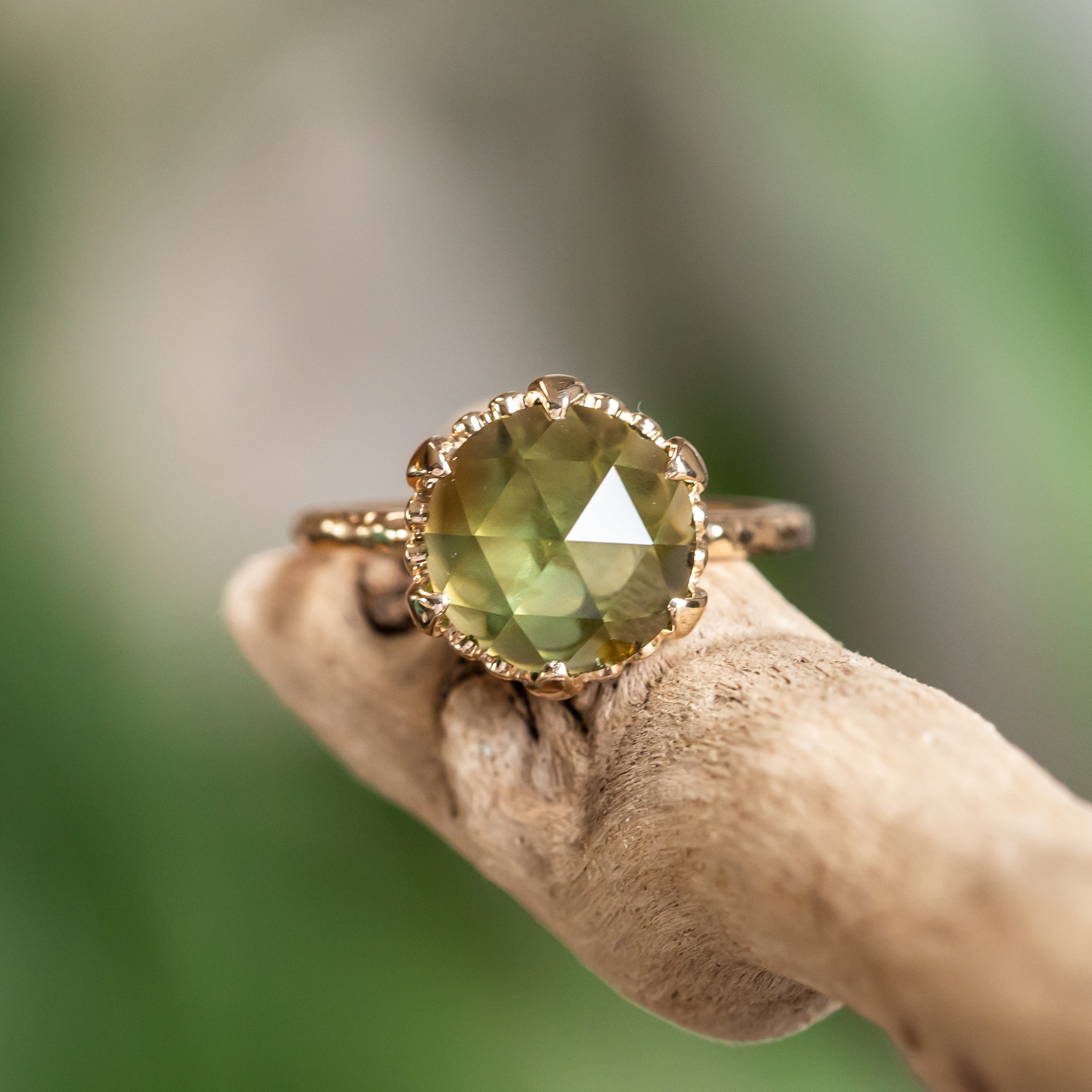 Scallop Cup Solitaire - Setting – Anueva Jewelry